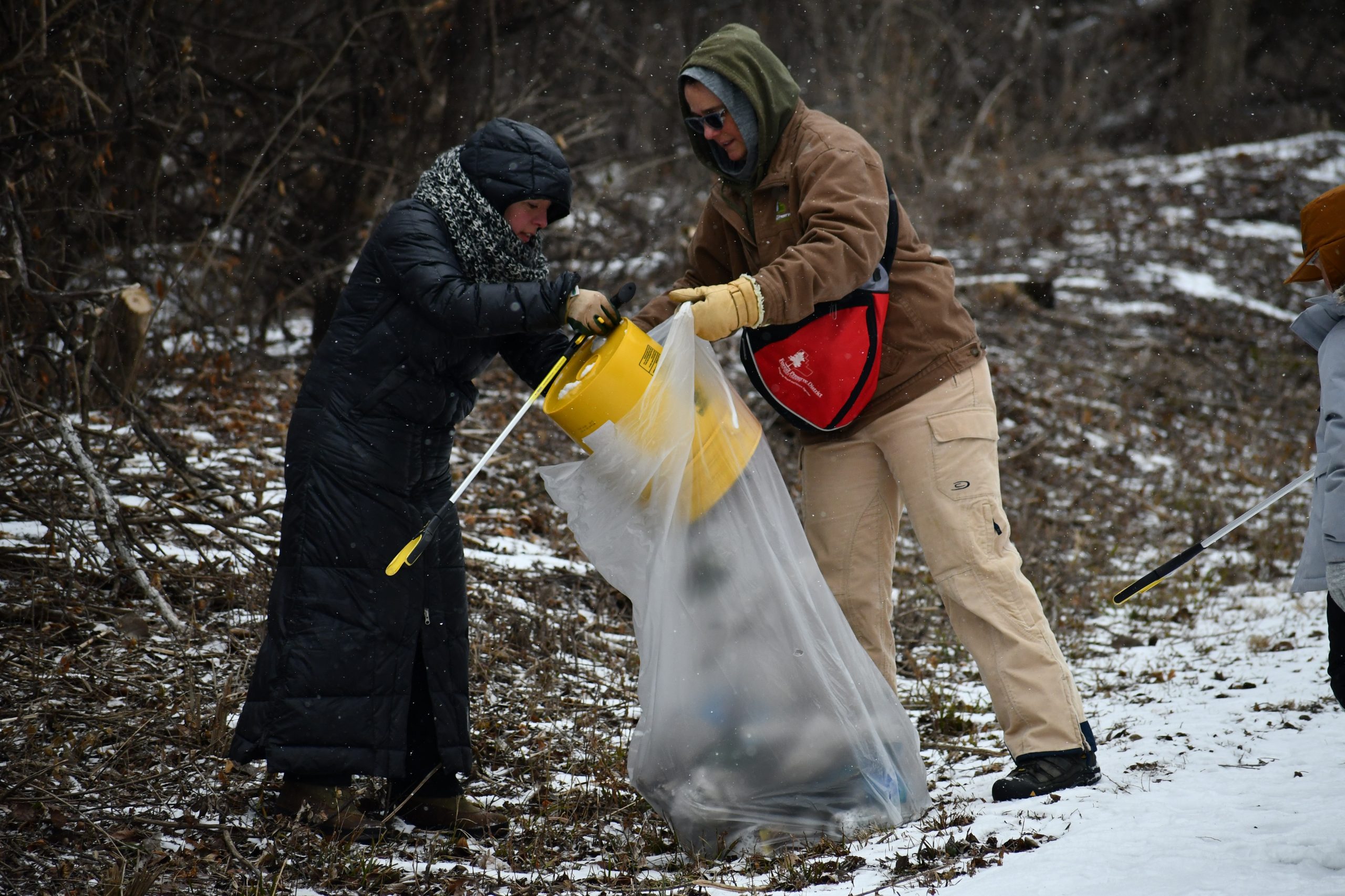 MLK Day of Service cleanups highlight week of Forest Preserve programs ...